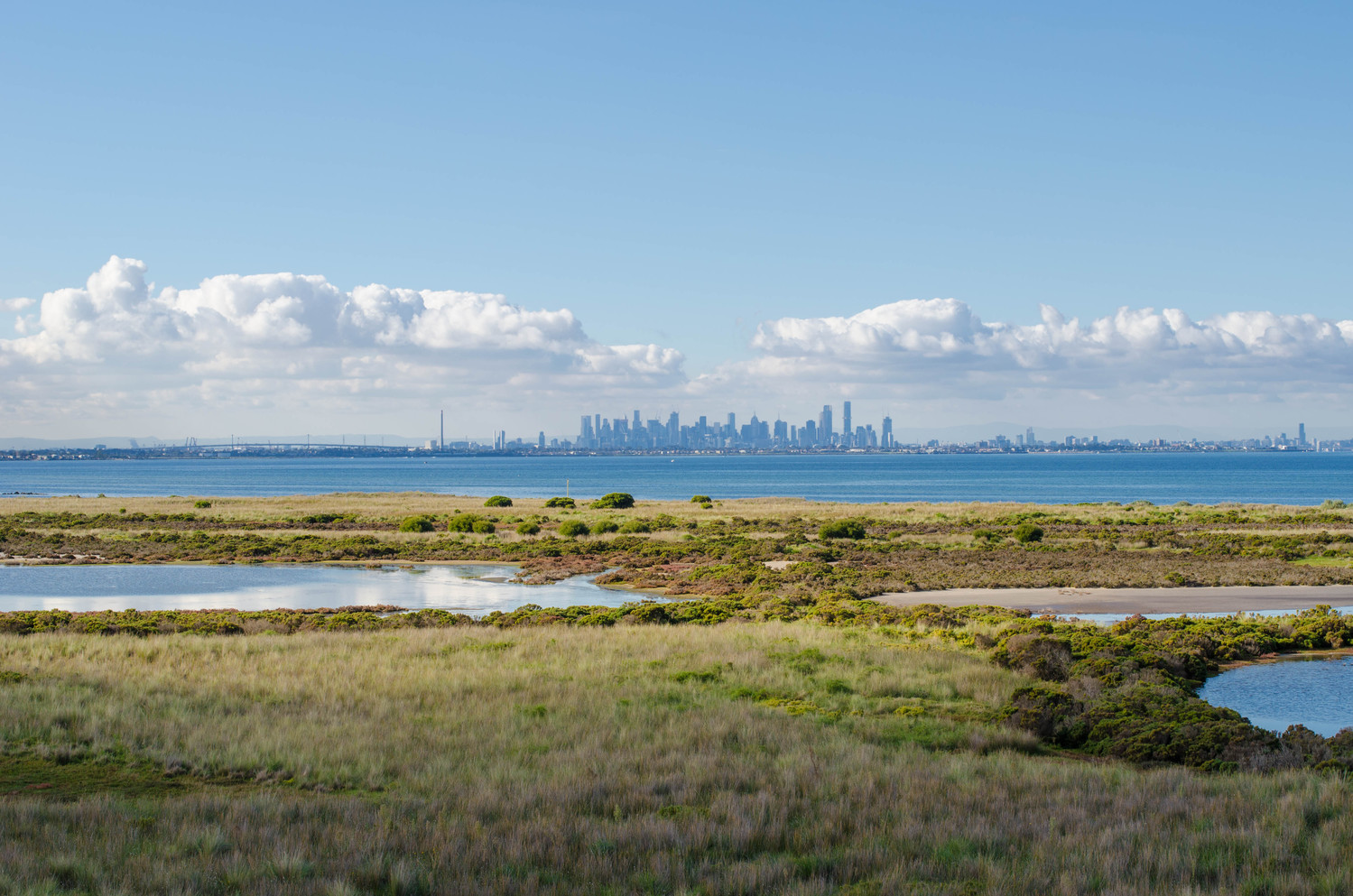 Cheetham Wetlands Tower Walk | Visit Werribee & Surrounds