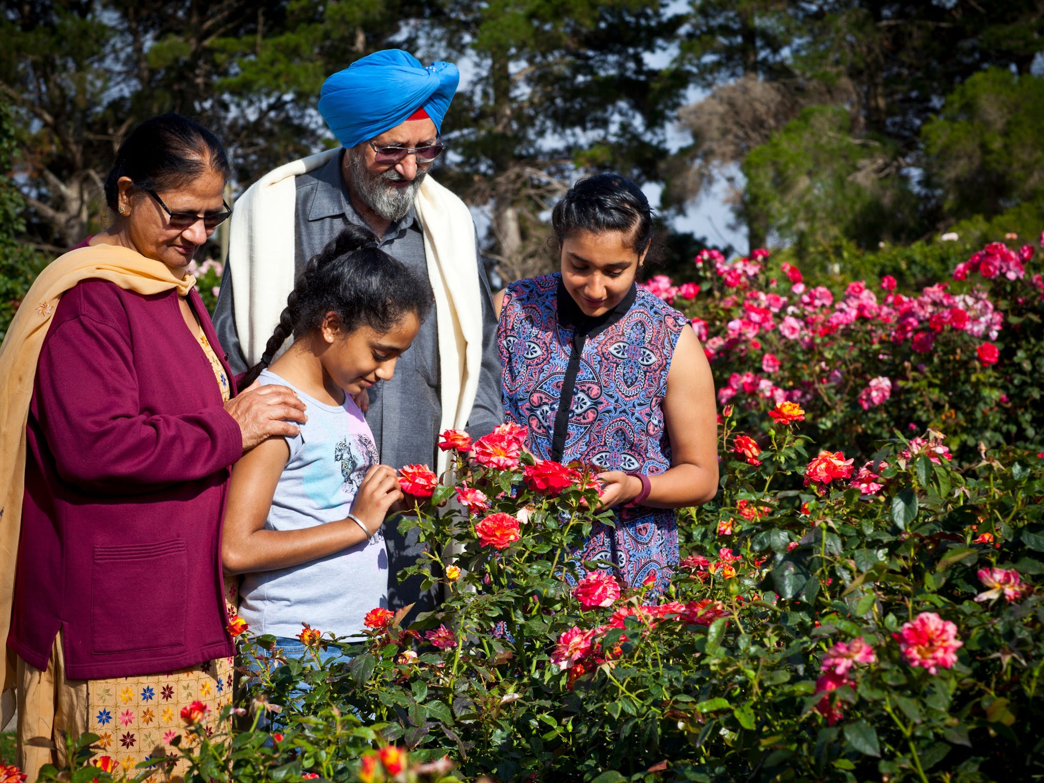 Victoria State Rose Garden at Werribee Park | Visit Werribee & Surrounds