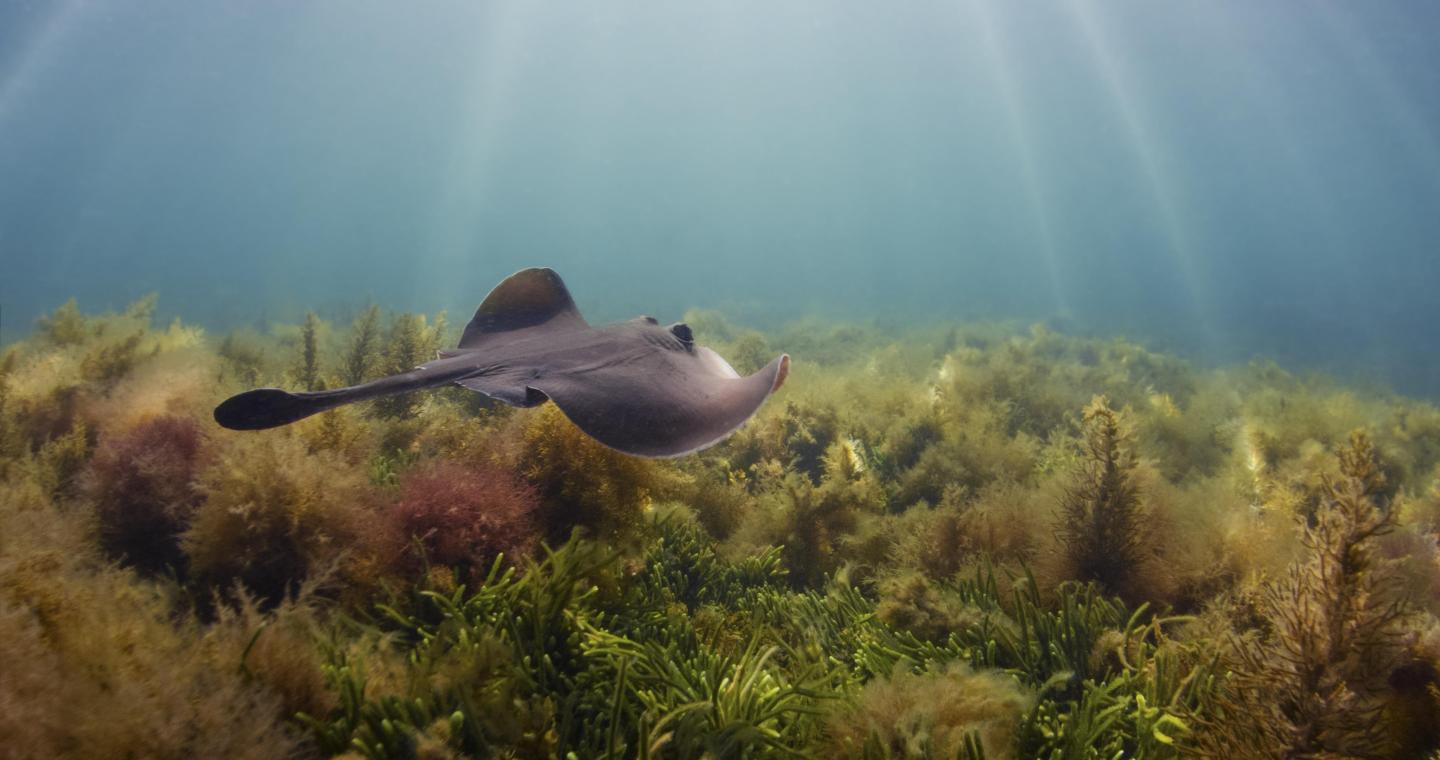 Point Cook | Visit Werribee & Surrounds
