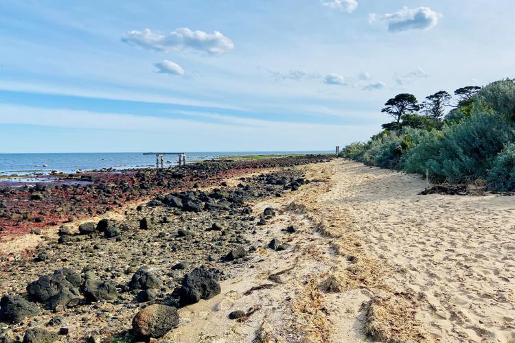 Point Cook Coastal Park Beach Walk | Visit Werribee & Surrounds