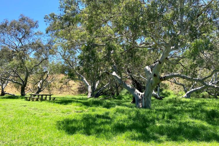 Werribee Mansion to Werribee Regional Park | Visit Werribee & Surrounds